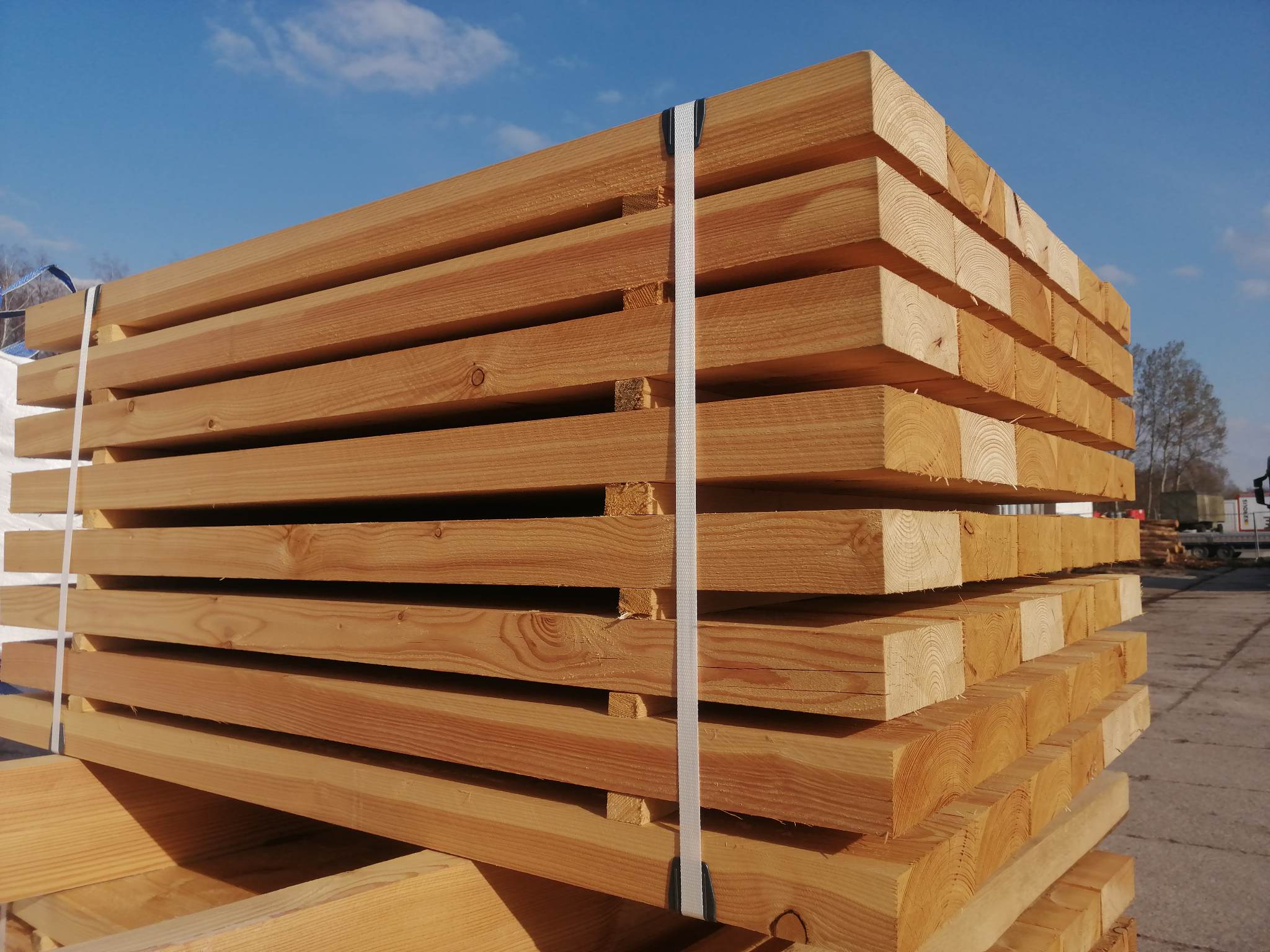 Fošny modřínové - PILA PACOV